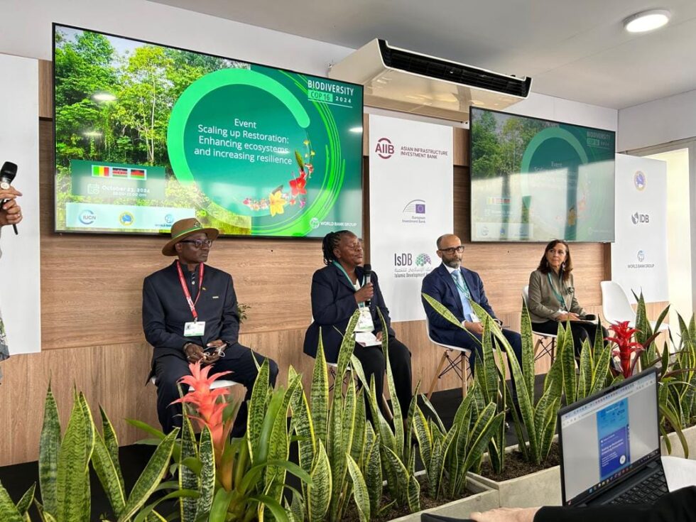 Participation of Mali in the World Bank Biodiversity Panel at COP16 in ...